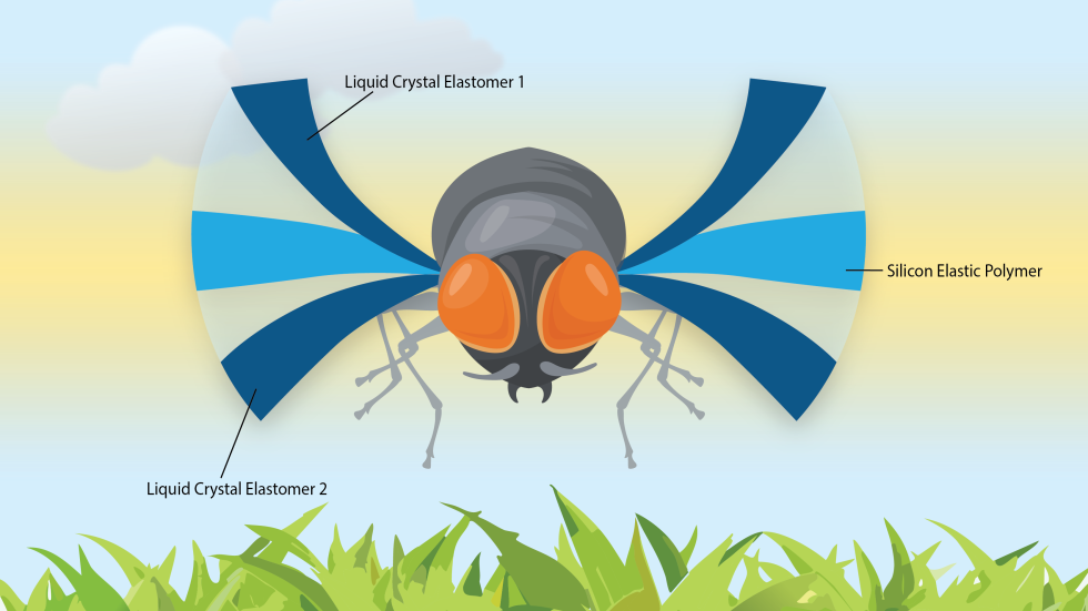 Flapping Oscillatory Soft Robot Mimics Flying Insect | UCLA Samueli ...